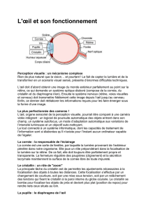 Luxation du cristallin