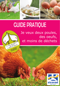 Mini-guide pratique